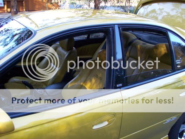 Bolt On Hyper Yellow VX SS