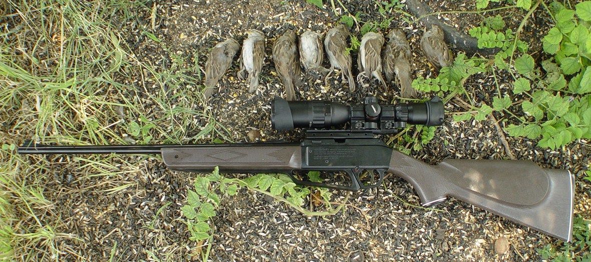 Backyard Air Rifle Shooter ... You - Too? What's Going-On With Your Air ...