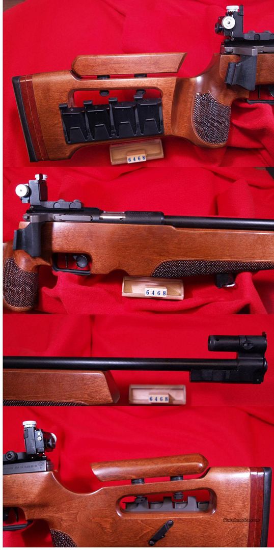 Biathlon Sport & Biathlon Rifles | Page 2 | Rimfire Central Firearm Forum