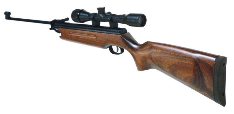 Weihrauch HW35E or HW35 ... Perfect Spring & Piston Air Rifle for an ...