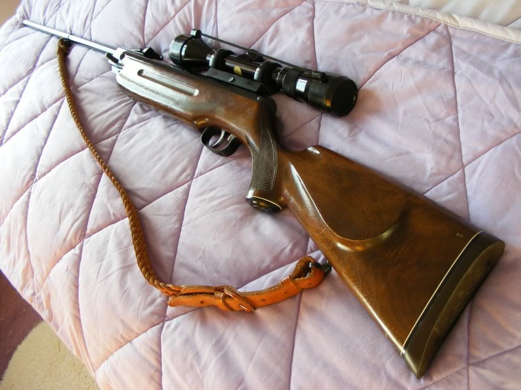 Weihrauch HW35E or HW35 ... Perfect Spring & Piston Air Rifle for an ...