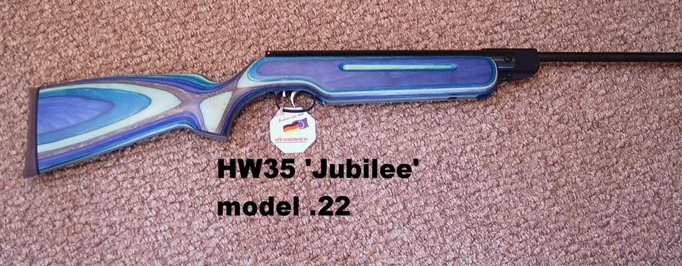 Weihrauch HW35E or HW35 ... Perfect Spring & Piston Air Rifle for an ...