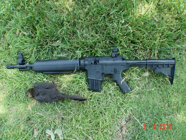 My Crosman M4-177 ... M16/AR15 Marksmanship Training Rifle for ...