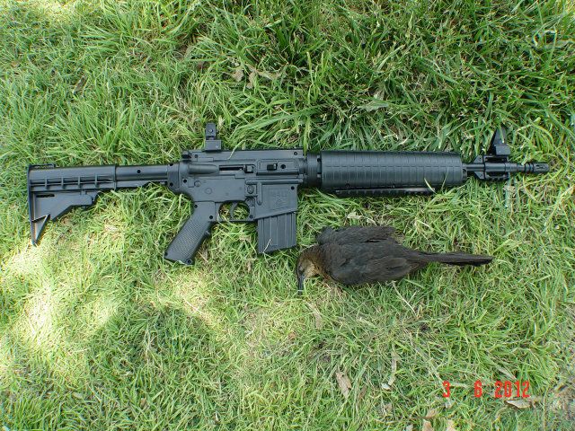 My Crosman M4-177 ... M16/AR15 Marksmanship Training Rifle for ...