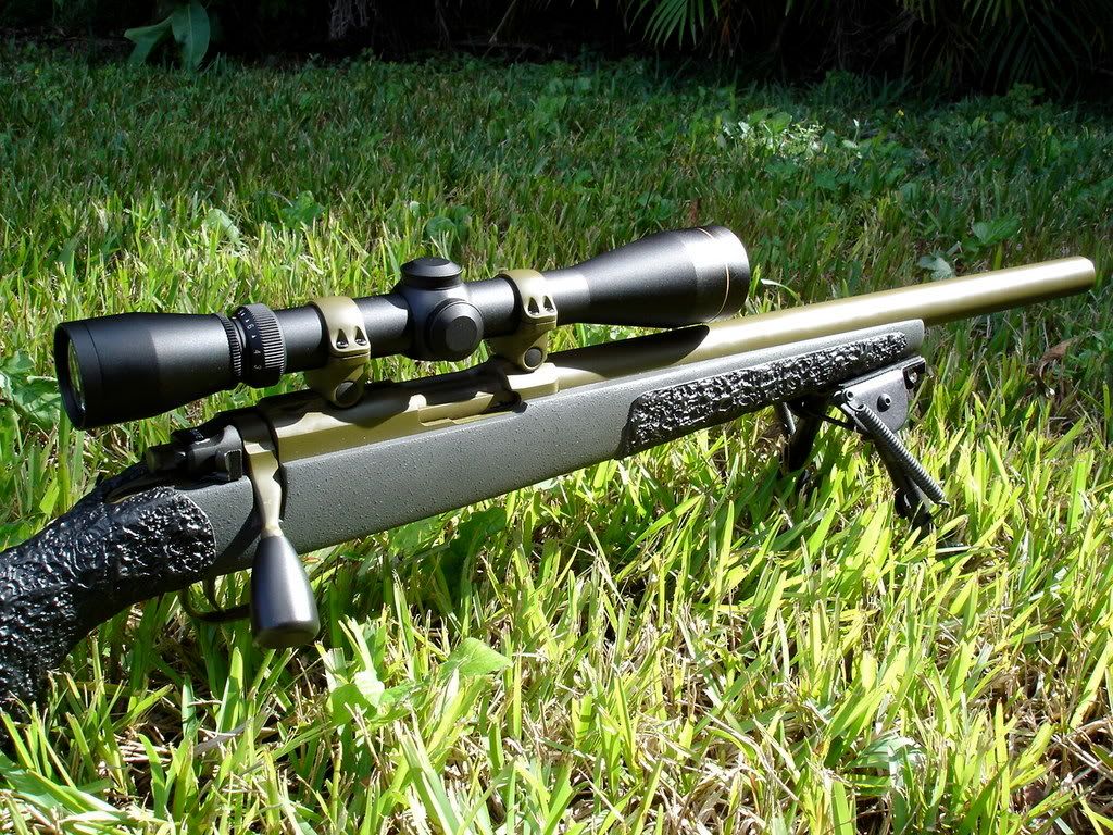Ruger 77/22 ... Rimfire Tactical Precision Match Rifle | Rimfire ...