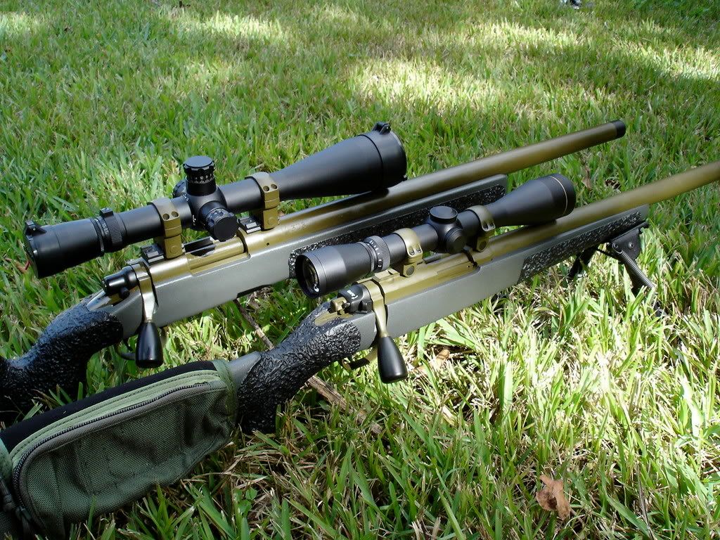 Ruger 77/22 ... Rimfire Tactical Precision Match Rifle | Rimfire ...