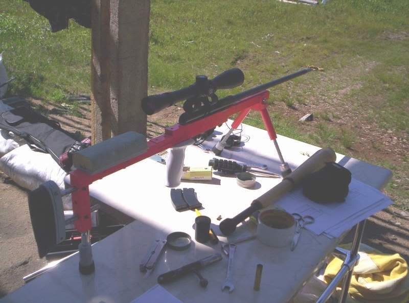 Concept for a custom TOZ-78 | Rimfire Central Firearm Forum