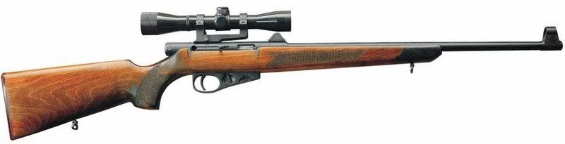 Toz-99??? - Seek owner oppinions, Accuracy claims & TOZ 99-4L with ...