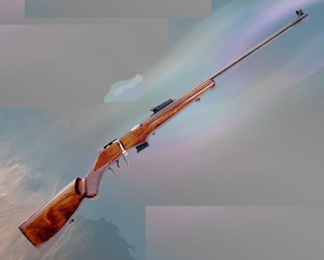 T03-12....info | Rimfire Central Firearm Forum