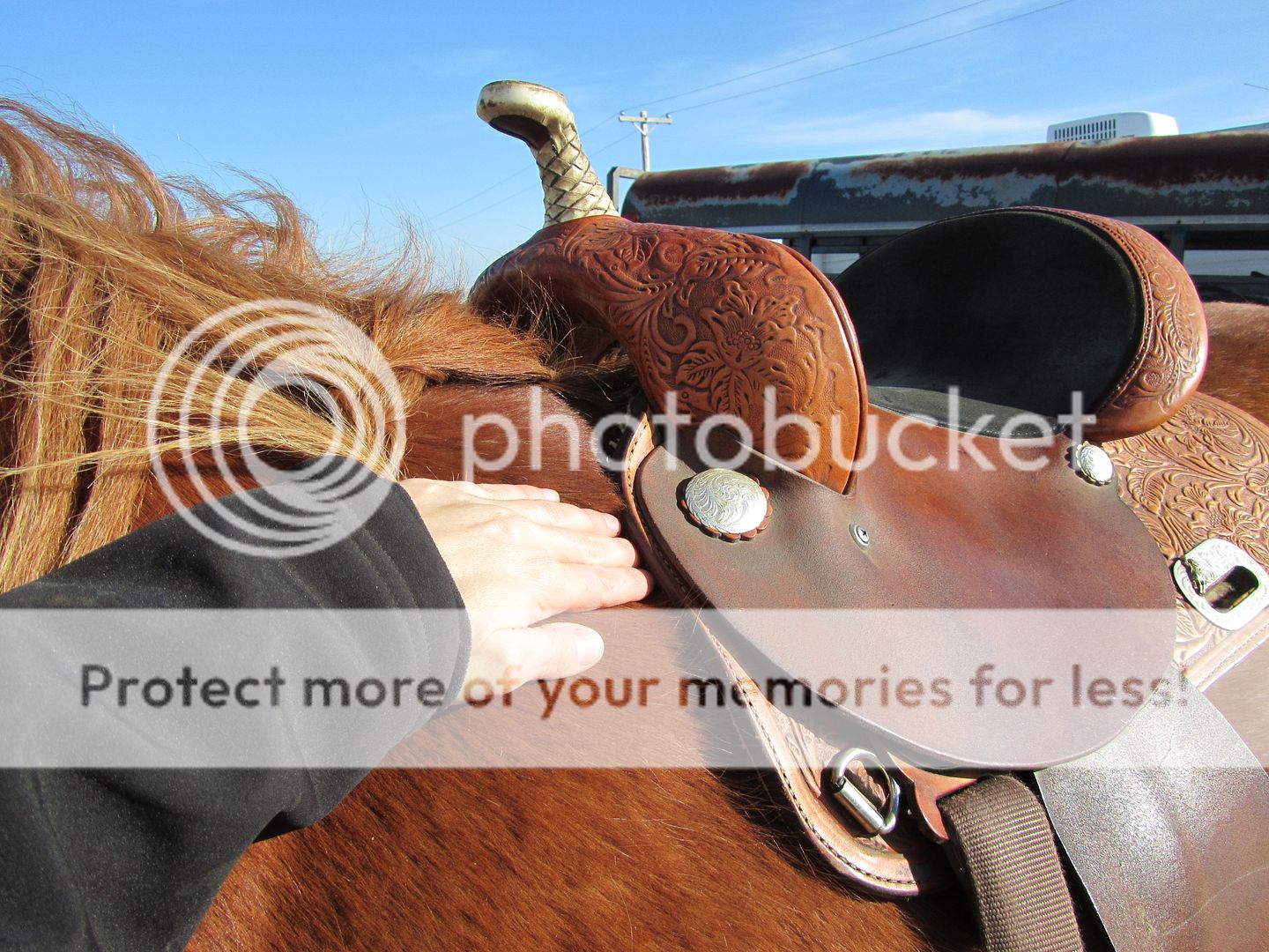 Viewing a thread - Does this saddle fit?