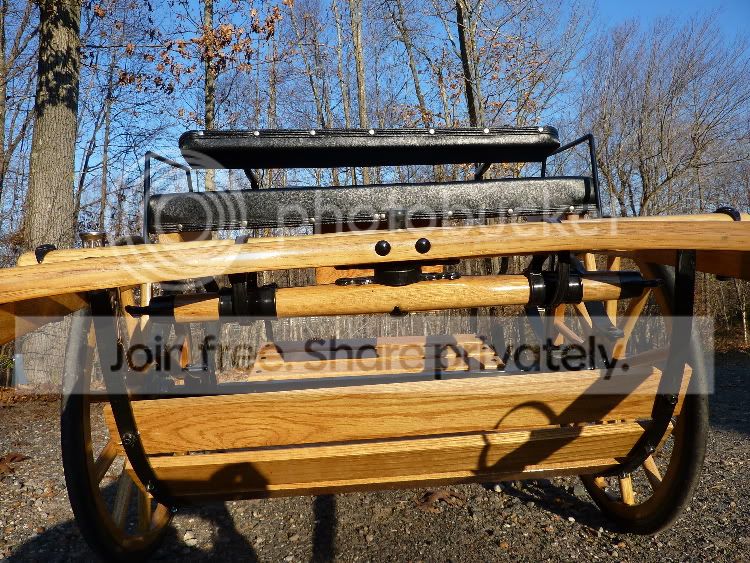 CARTS - Jerald vs. Graber | Miniature Horse Talk Forums
