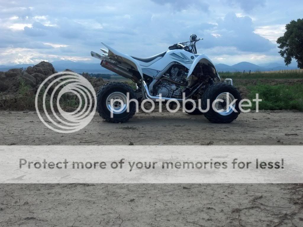 Raptor of the Month November 2014 Entries | Raptor Forum