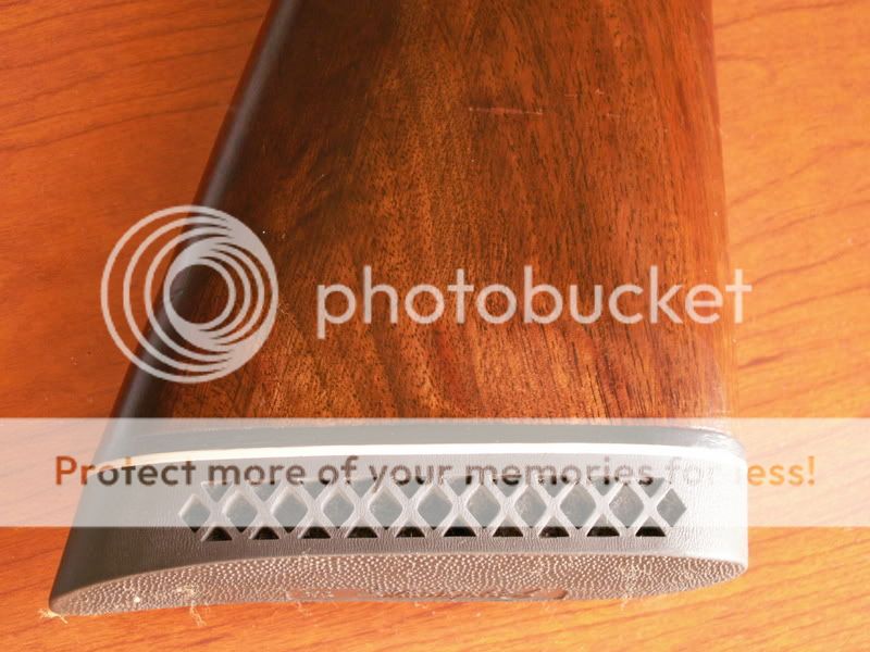 Mod 12 Shooters | Shotgun Forum